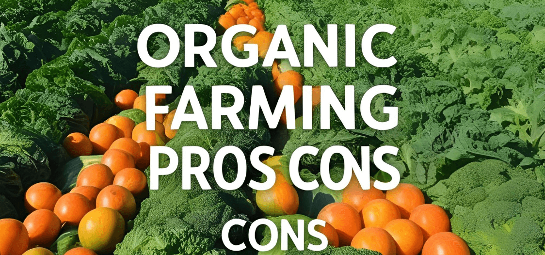 Organic Farming Pros and Cons: Perspective for Agriculture